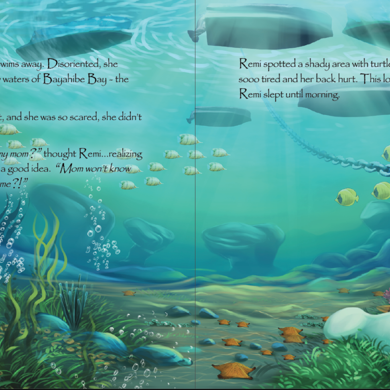 Remi The Lost Manatee – en.mimarmaravilloso.com