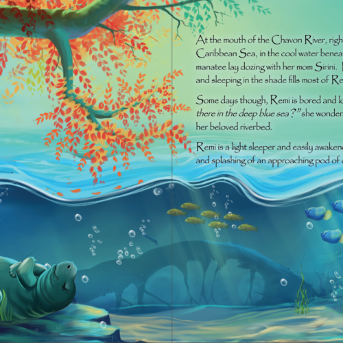 Remi The Lost Manatee – en.mimarmaravilloso.com